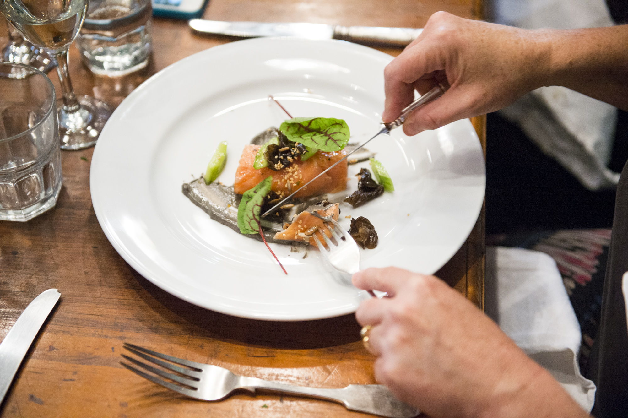 salmon mf - Stay at Home Mum