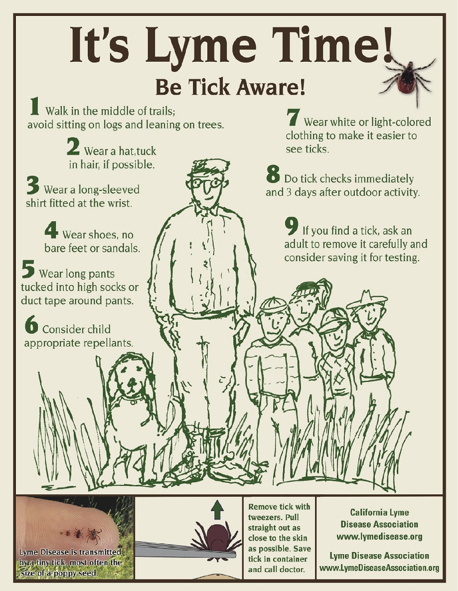 ticks - Stay at Home Mum